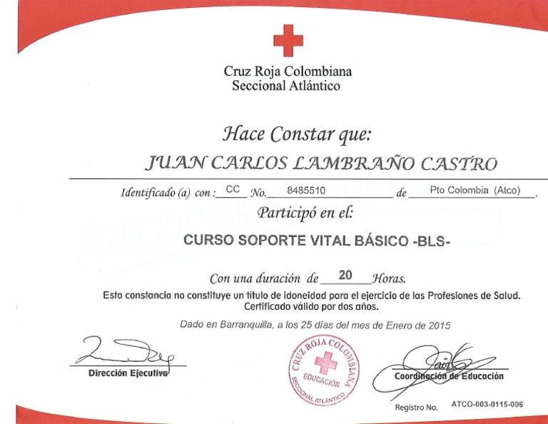 Diploma Cruz Roja PDF | PDF
