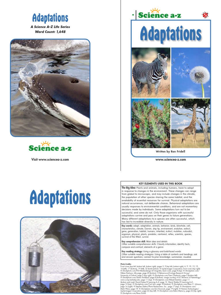 Adaptations | PDF | Whales | Adaptation