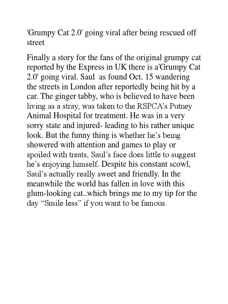 Grumpy Cat 2.0 PDF | PDF