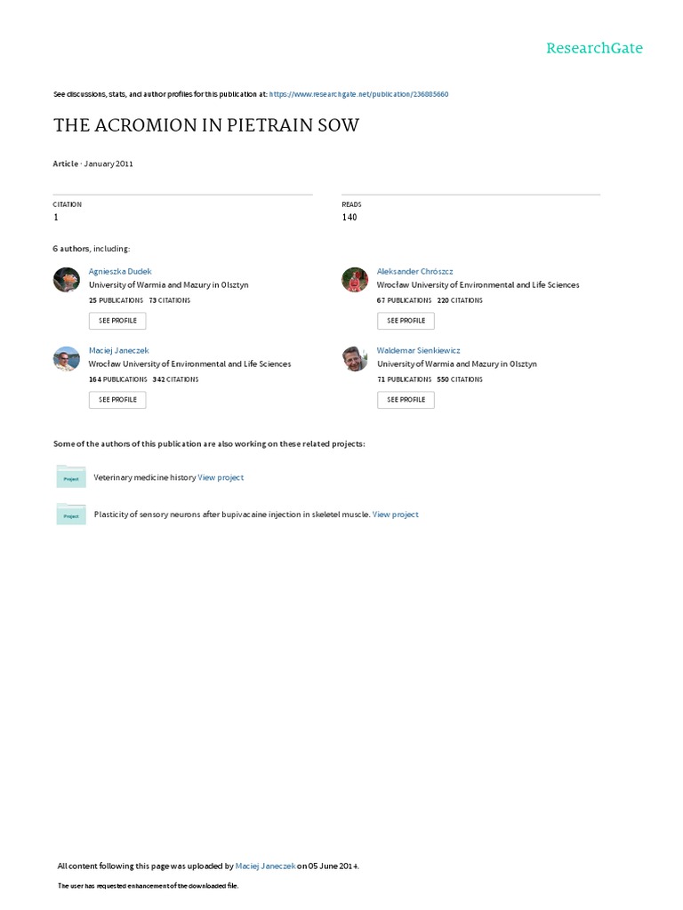 Umar Zaky | PDF | Skeletal System | Anatomy