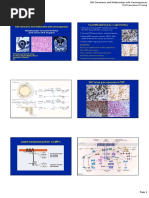 Gans Sensory Organization Performance (SOP) Test | PDF | Vertigo ...