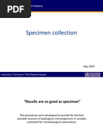 Biochemical Test and Identification of Pseudomonas Aeruginosa | PDF ...