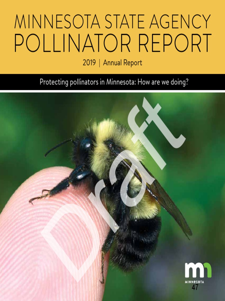 Draft Pollinator Report | PDF | Pollinators | Restoration Ecology
