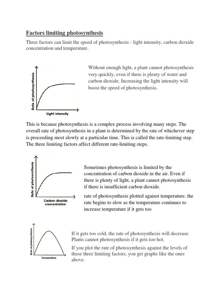 Limiting Factors of Photosynthesis | PDF | Photosynthesis | Carbon Dioxide