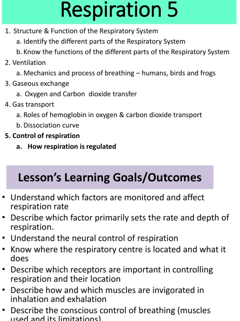 Respiration 5: 5. Control of Respiration A. How Respiration Is ...