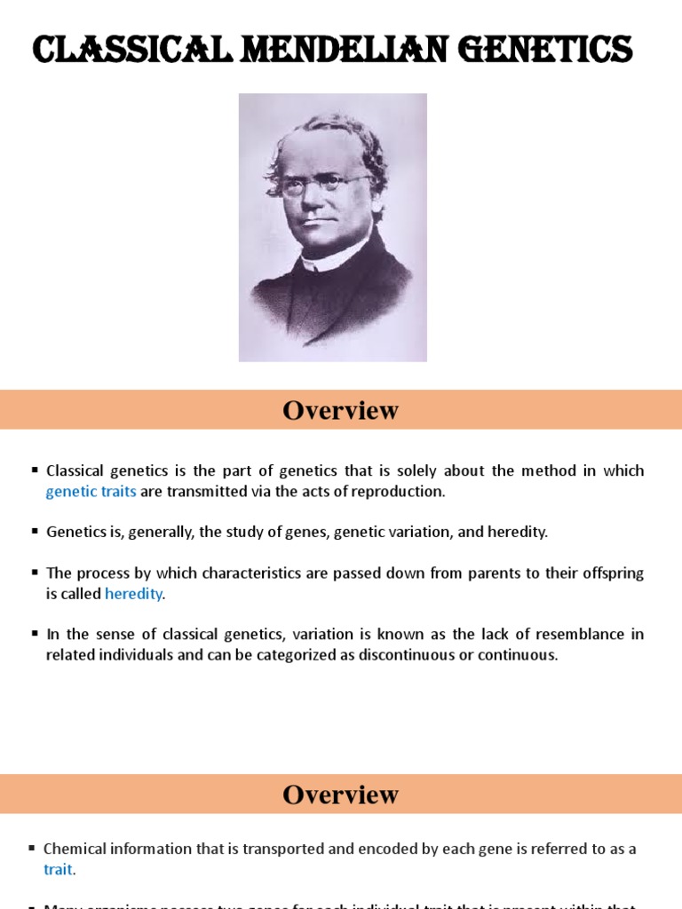 Classical Mendelian Genetics Overview | PDF | Dominance (Genetics) | Allele