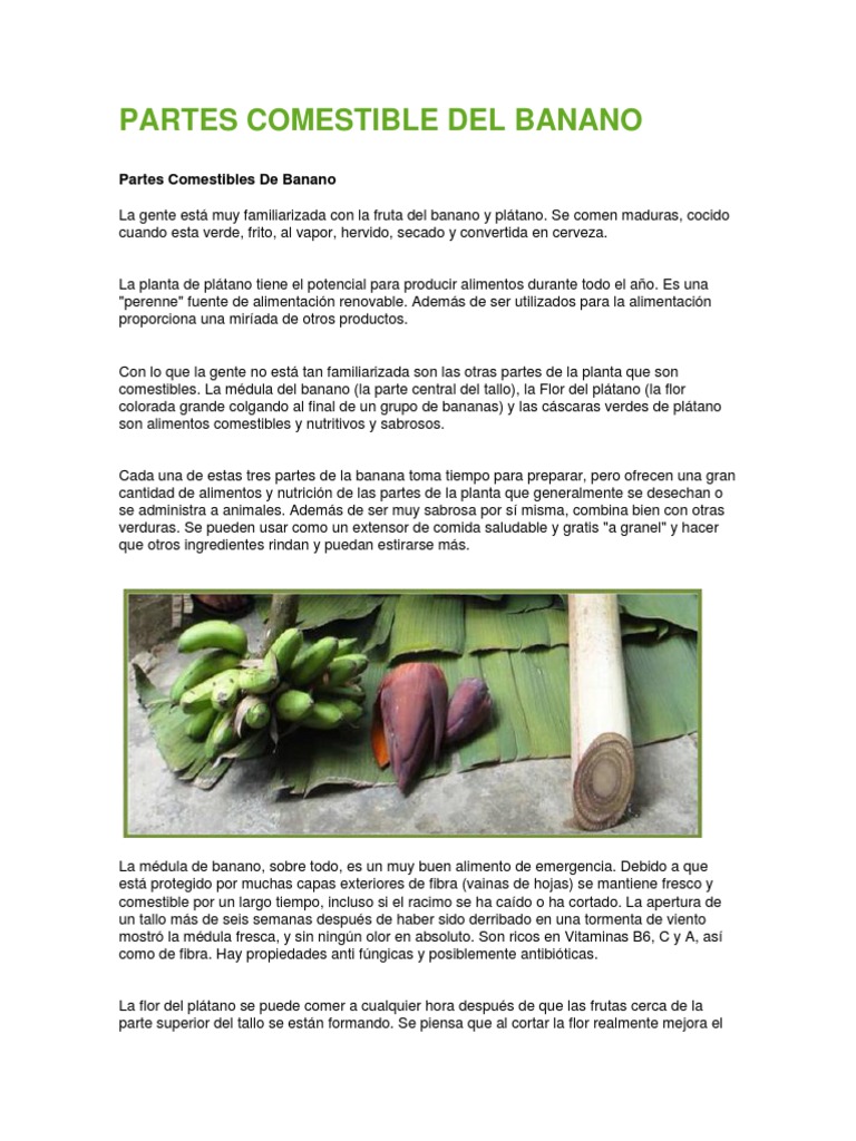 Partes Comestible Del Banano | PDF | Alimentos | Comida y bebida
