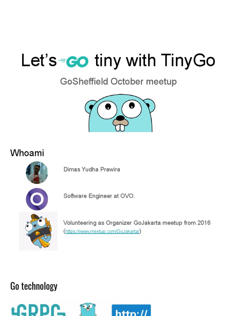 Let's Go Tiny With TinyGo | PDF | Business | Computers