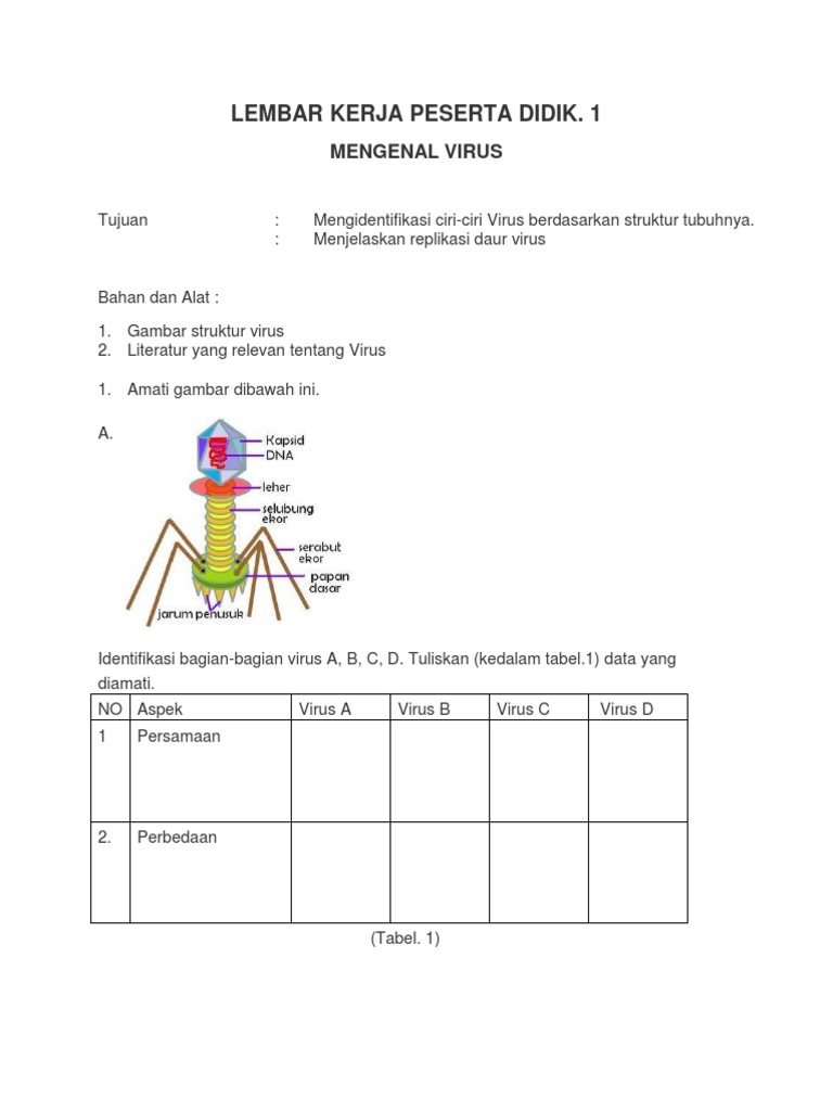 1. Mengenal Struktur dan Replikasi Virus 2. Perbedaan Siklus Hidup ...