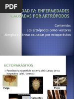 2.3 Tiempos de La Exodoncia Con Forceps y Con Elevadores | PDF | Ramas ...