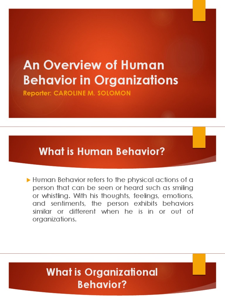 An Overview of Human Behavior in Organizations | PDF | Career & Growth ...