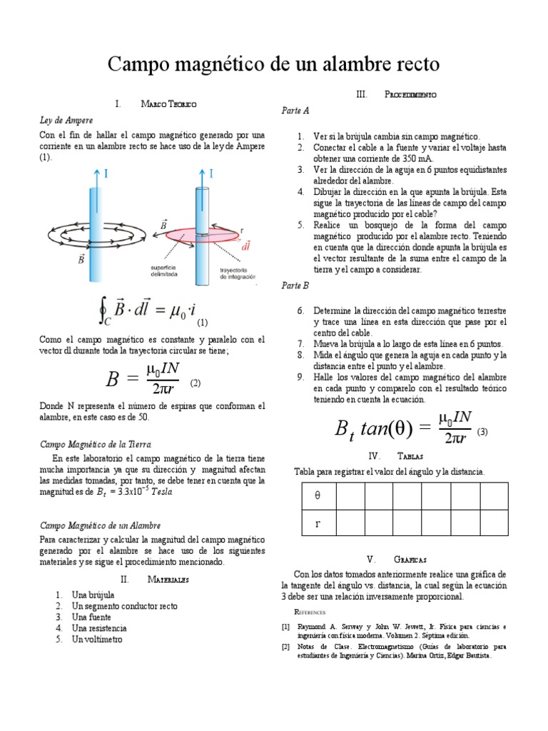 Campo Magnético de Un Alambre Recto | PDF | Campo magnético | Brújula