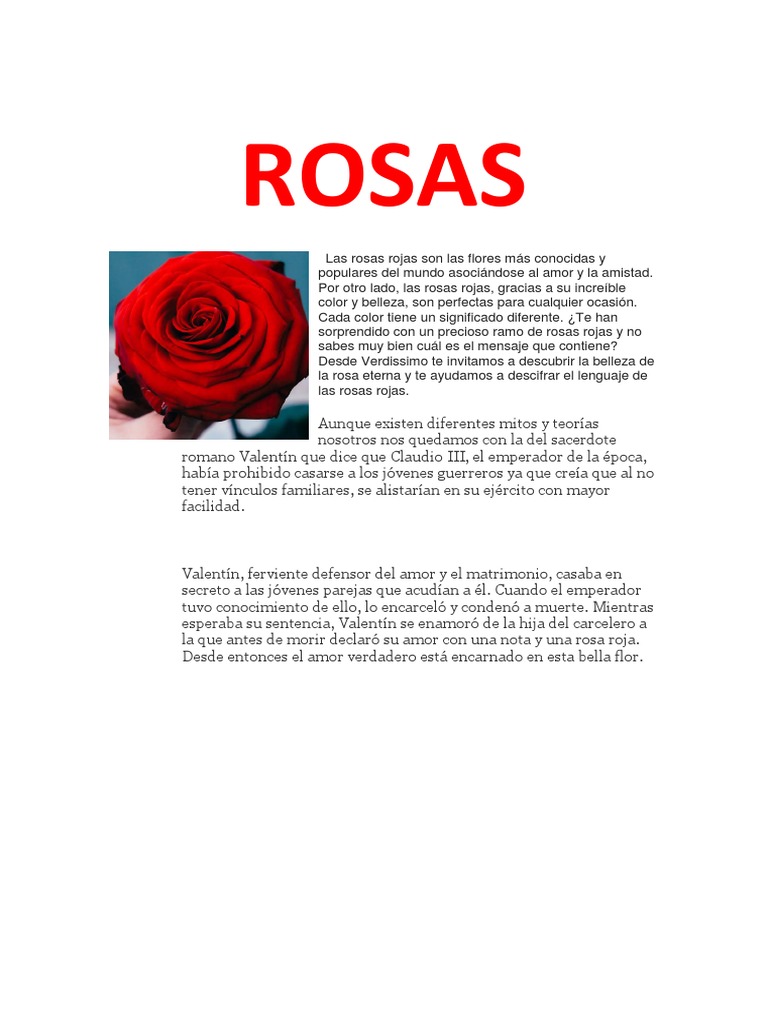 Rosas | PDF