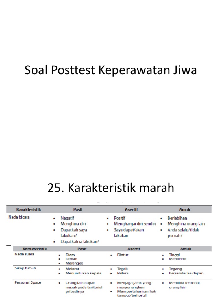Panduan Keperawatan Jiwa | PDF