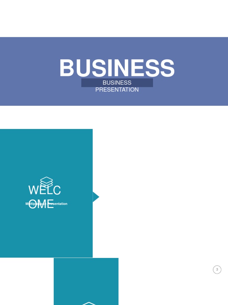 Business Presentation | PDF