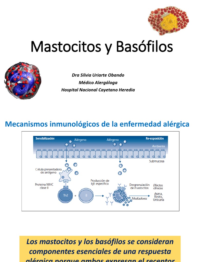 MASTOCITOS Y BASOFILOS | Citocina | Inflamación