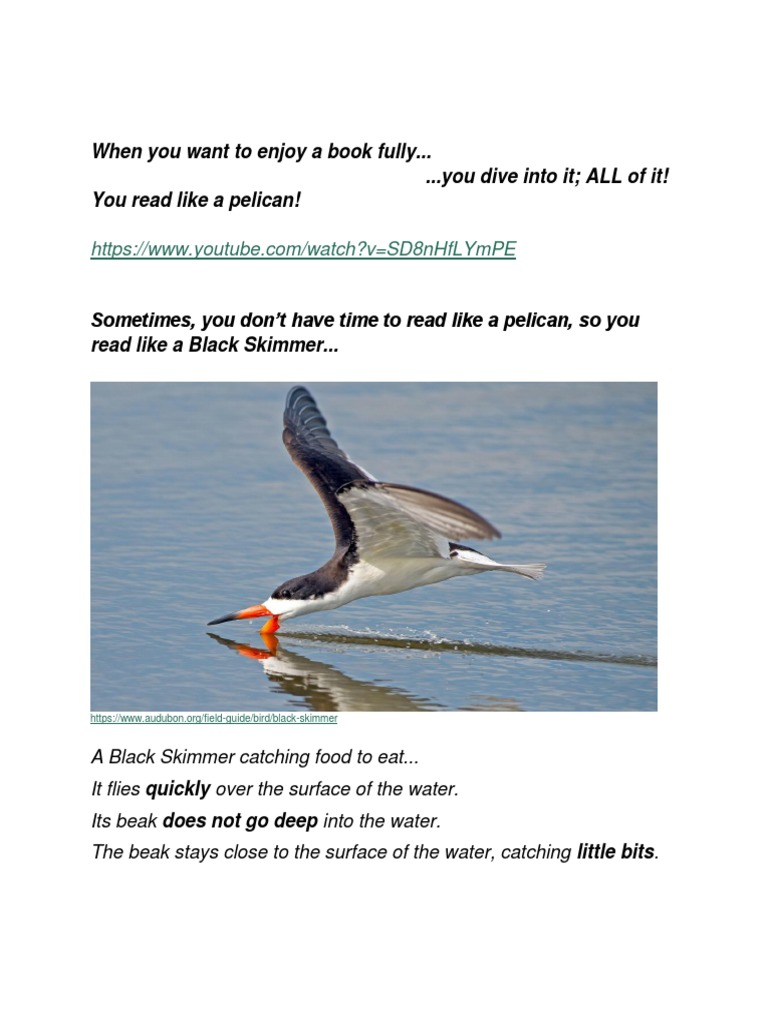 Effective Skimming Reading Strategies | PDF | Language Arts & Discipline