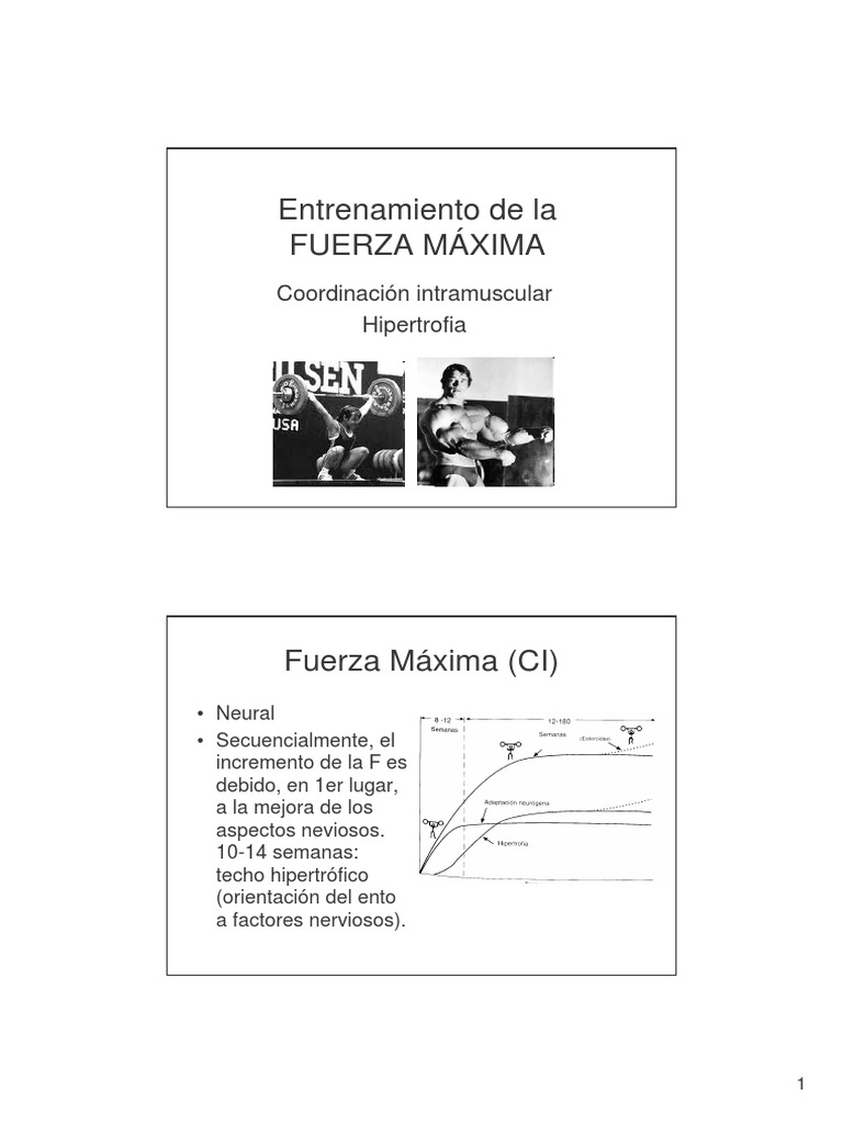 Fuerza Maxima | PDF | Músculo | Anatomía