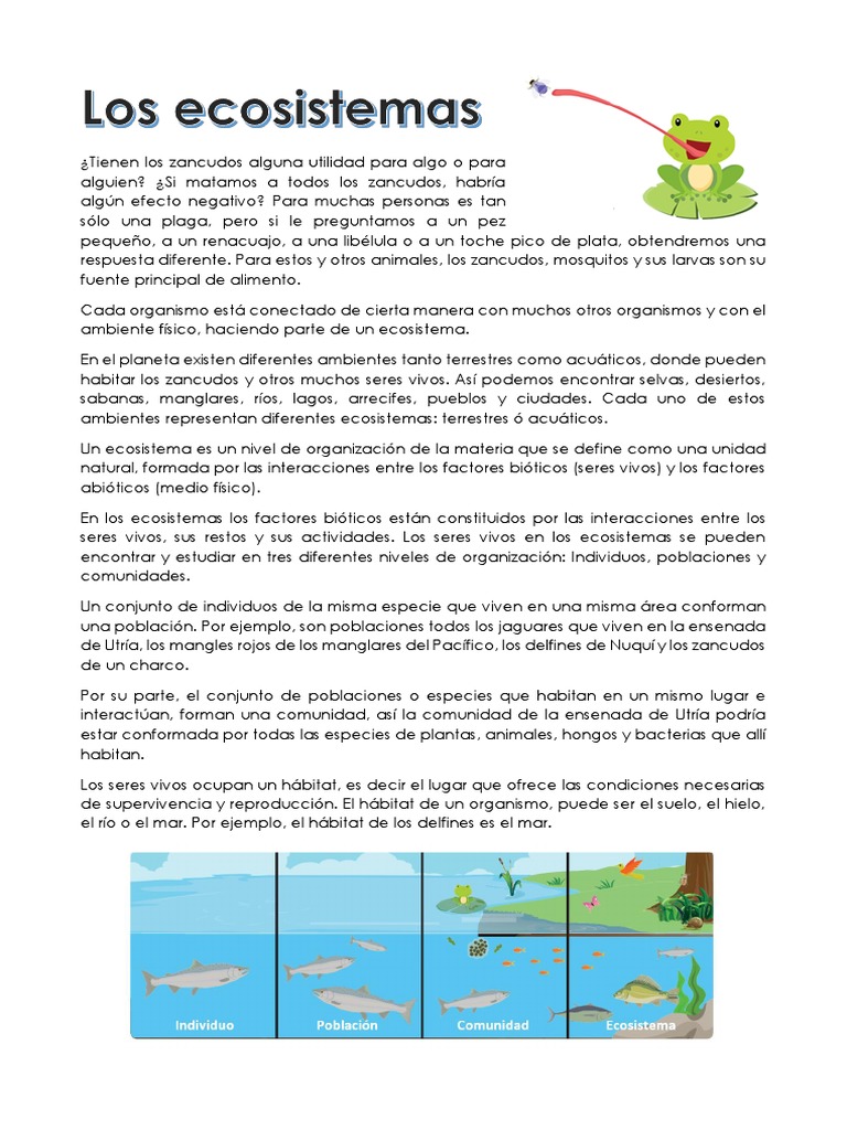 Los Ecosistemas | PDF | Ecosistema | Habitat
