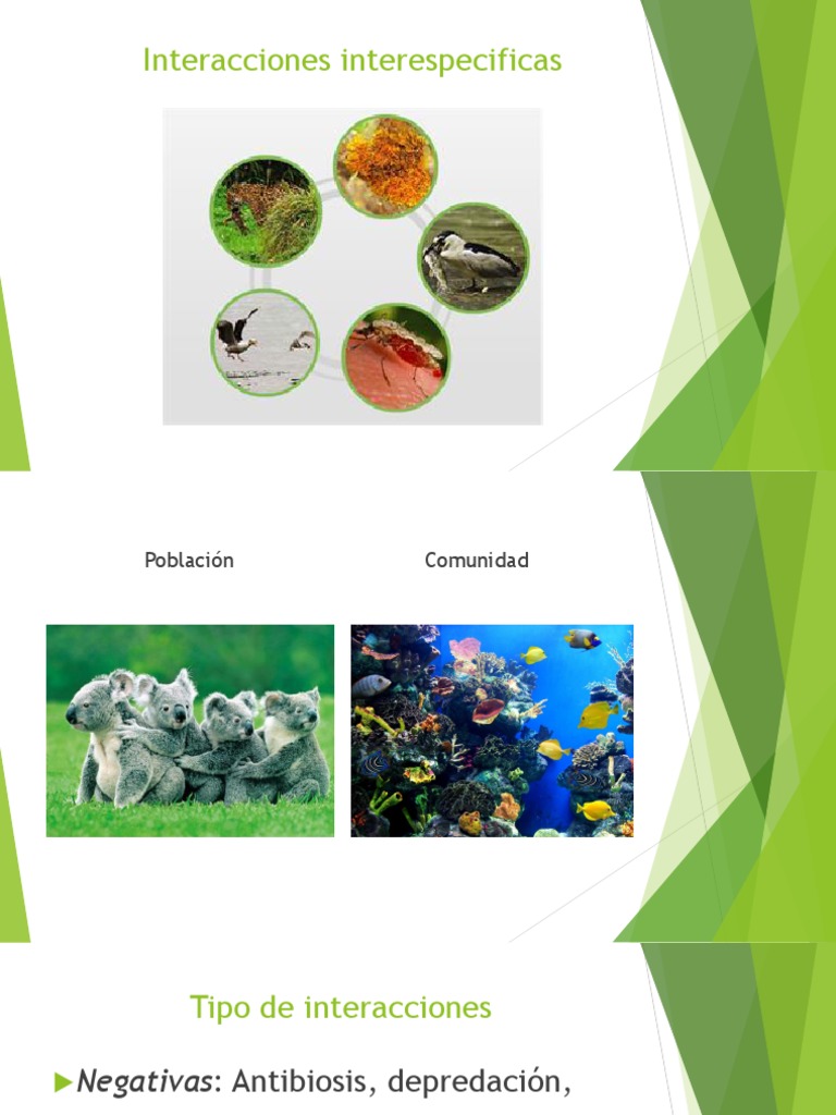 Interacciones Interespecificas | PDF