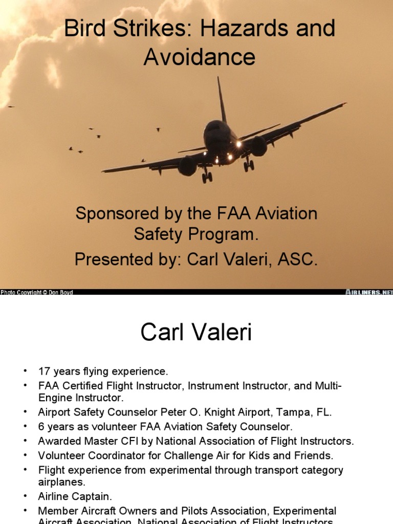 Bird Strikes Hazards and Avoidance | PDF | Birds | Flight Instructor