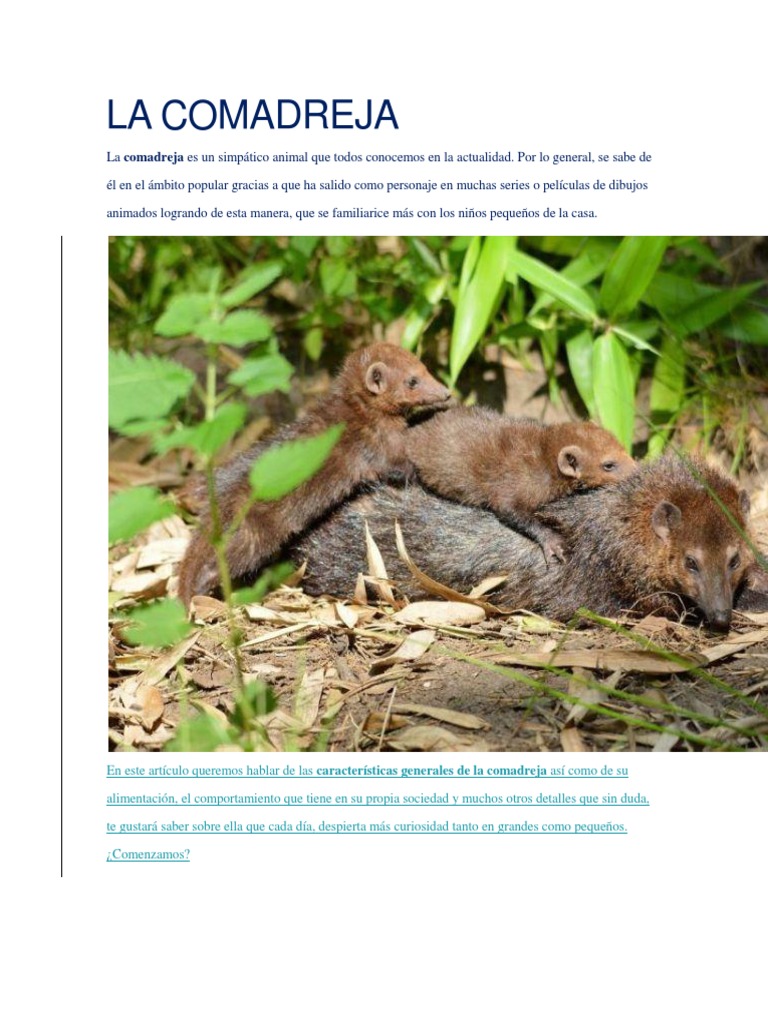 La Comadreja | PDF | Organismos | Naturaleza