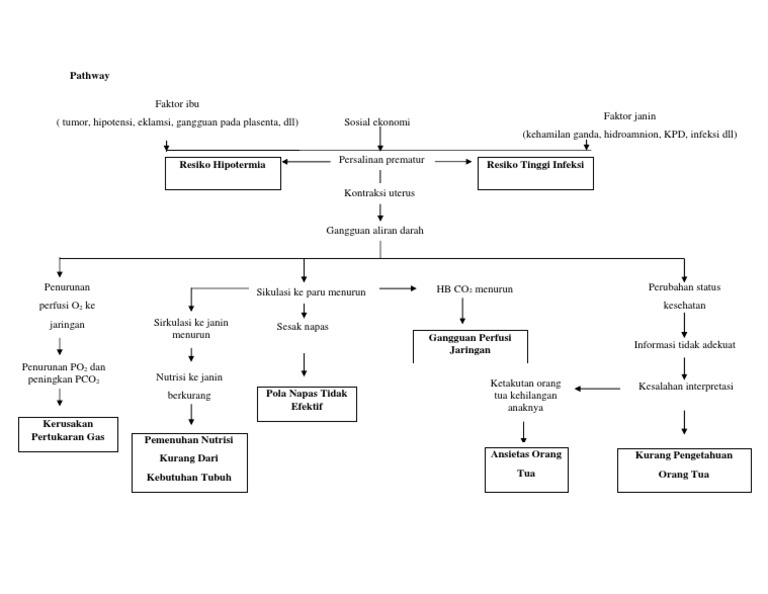 Pathway Prematur | PDF