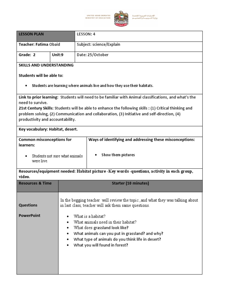 Lesson Plan33 | PDF | Lesson Plan | Education Theory