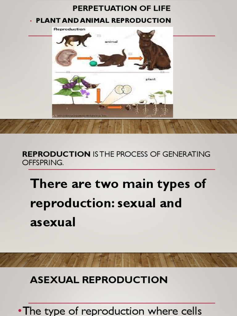Perpetuation of Life (Plant Reproduction) | PDF | Sexual Reproduction ...