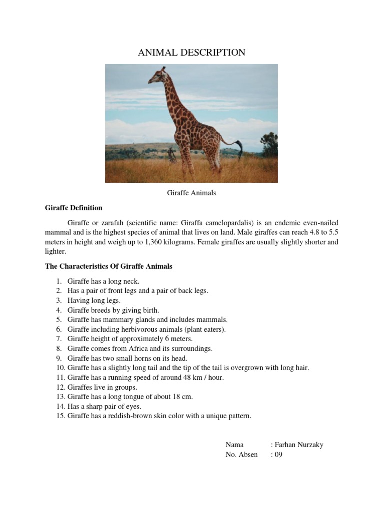 Animal Description: Giraffe Definition | PDF | Home & Garden