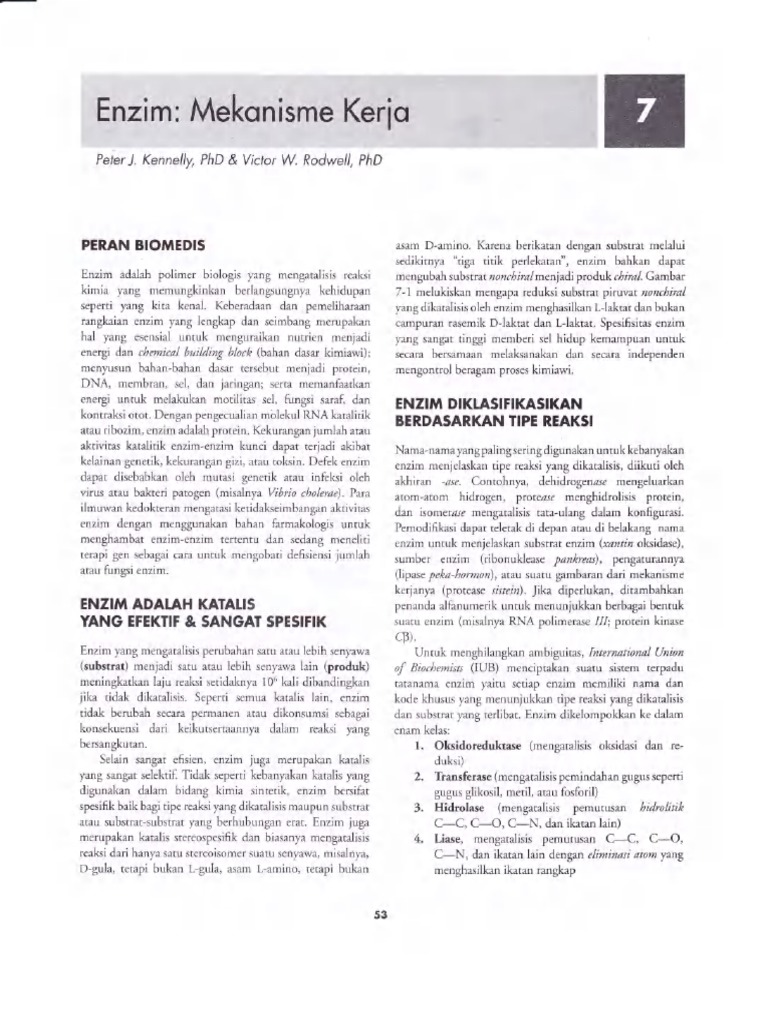Bab 7. Enzim - Mekanisme Kerja PDF | PDF