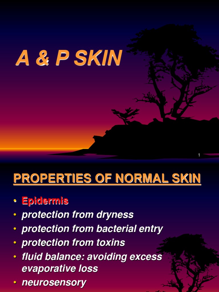 1.a & P Skin | PDF | Skin | Epidermis