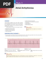 Acls Pre Course Self Assessment Study Guide | PDF | Cardiovascular ...