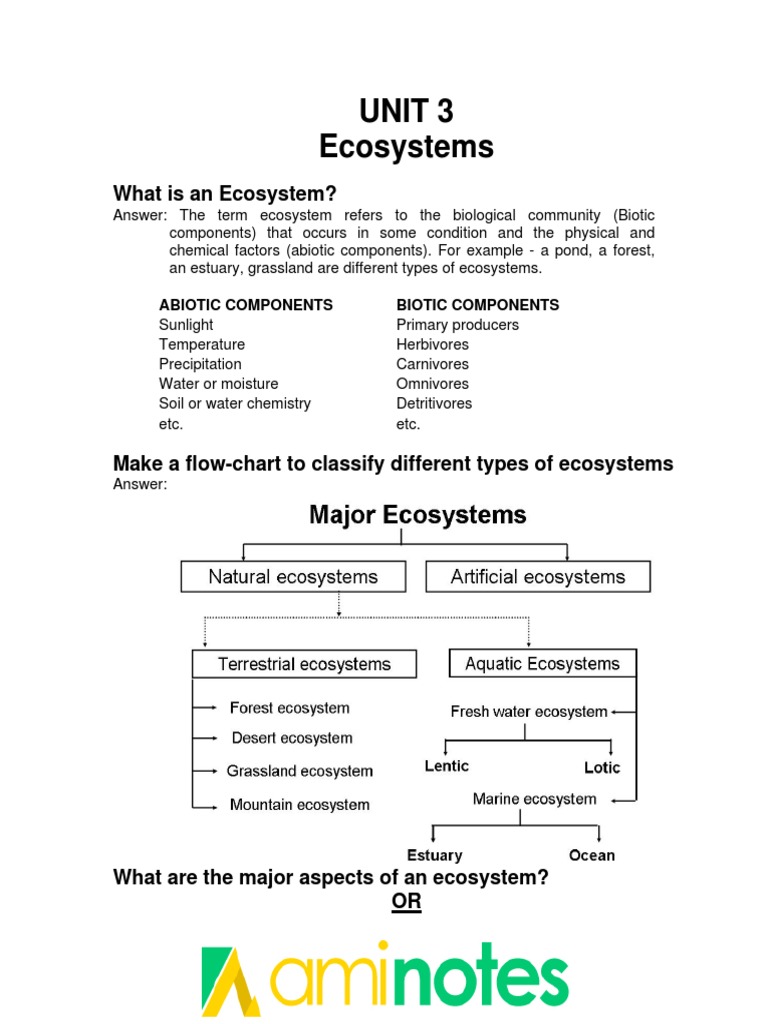 Module 3 PDF | PDF | Food Web | Ecosystem