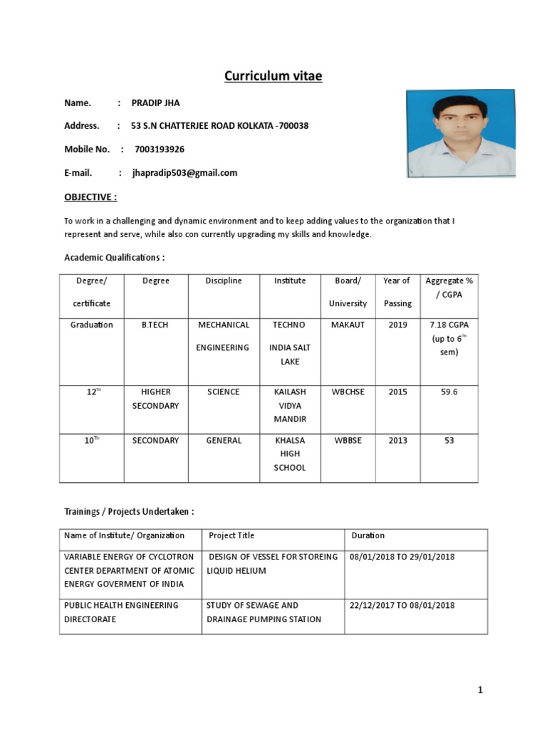 Curriculum Vitae: Objective | PDF | Learning | Cognition