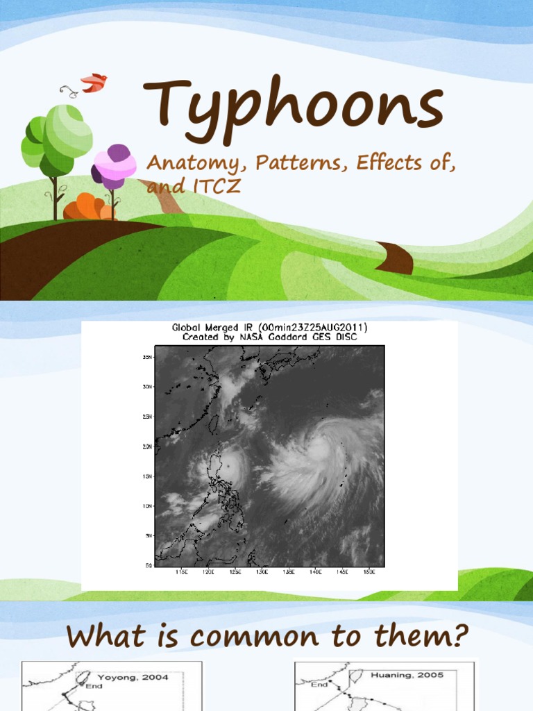 Typhoon Anatomy and Effects Explained | PDF