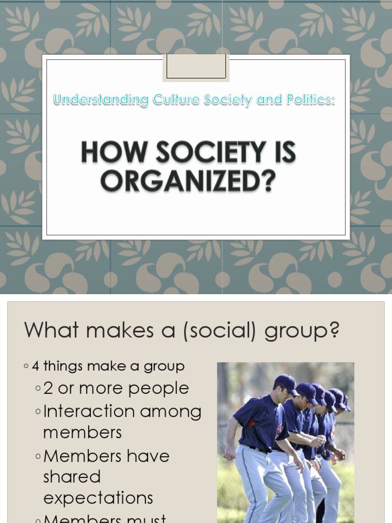 How Society Is Organized | PDF | Social Group | Social Psychology