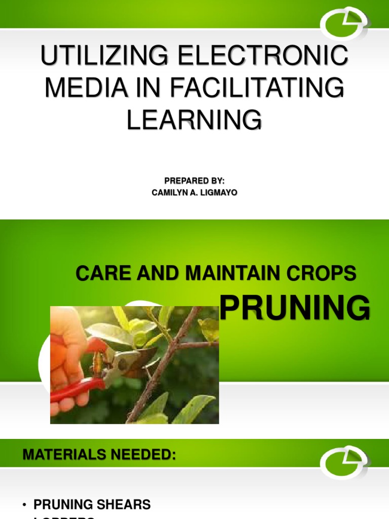Care and Maintain Crops | PDF