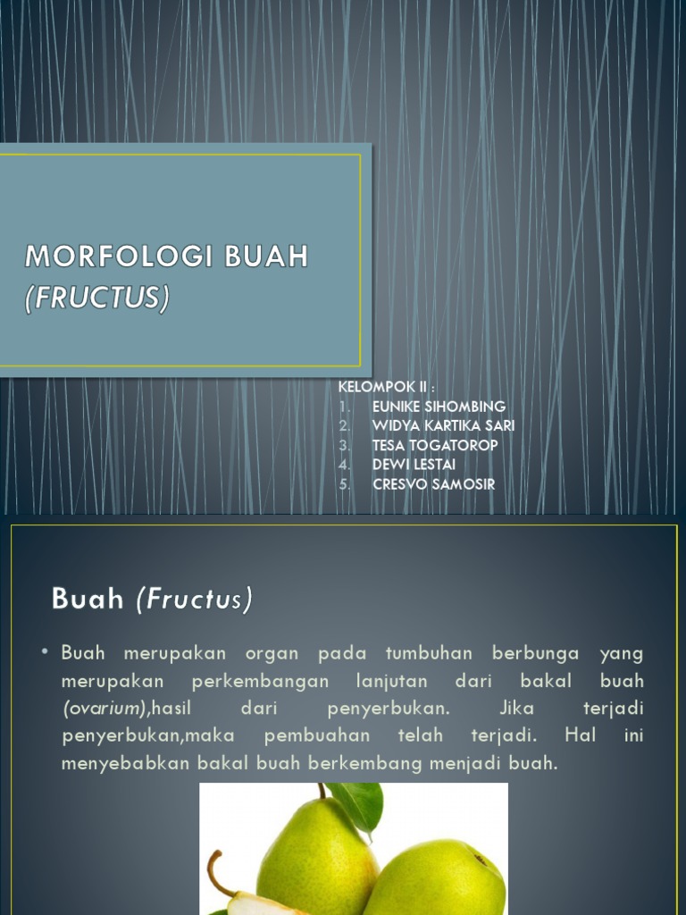 Morfologi Buah (Fructus) | PDF
