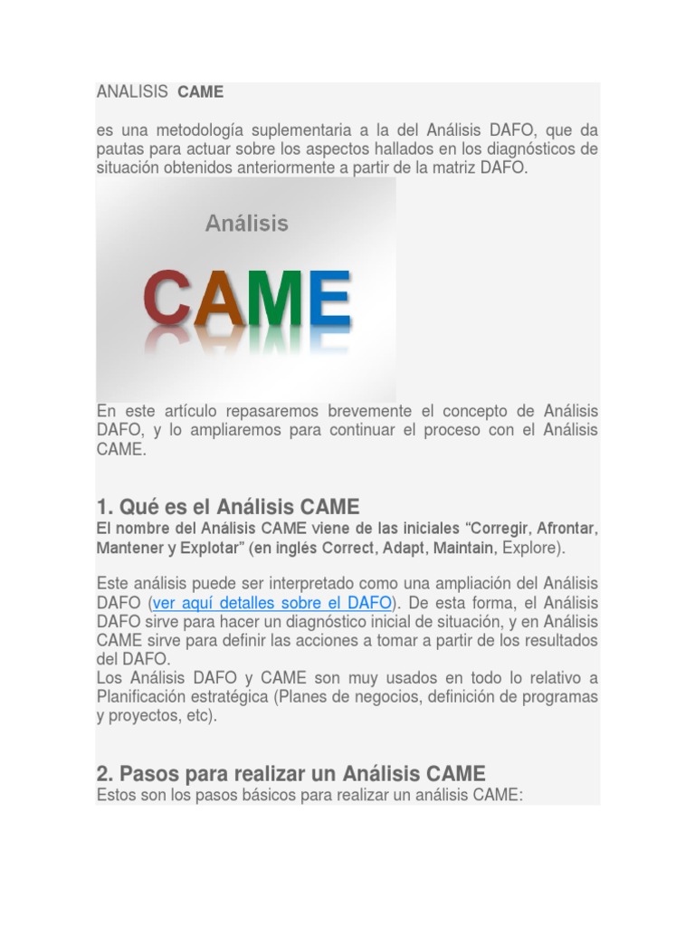 Analisis Came | PDF | Análisis FODA | Business