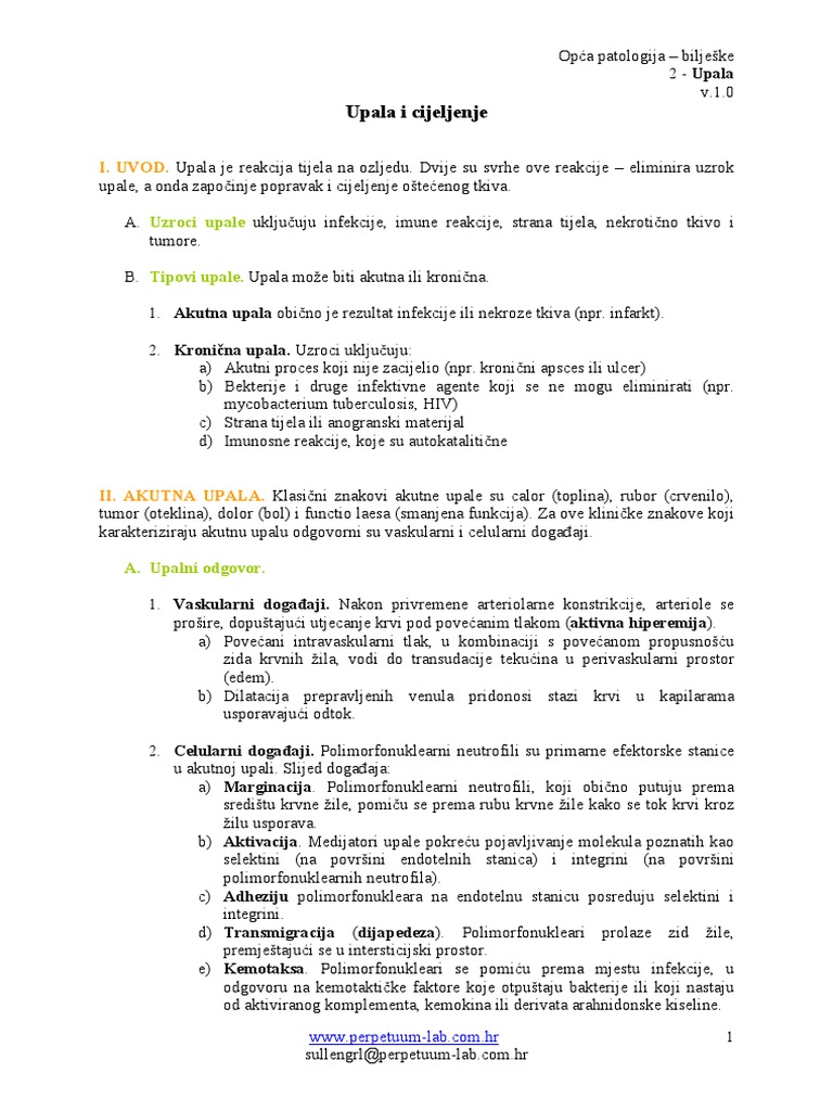 Upala Patologija Biljeske | PDF