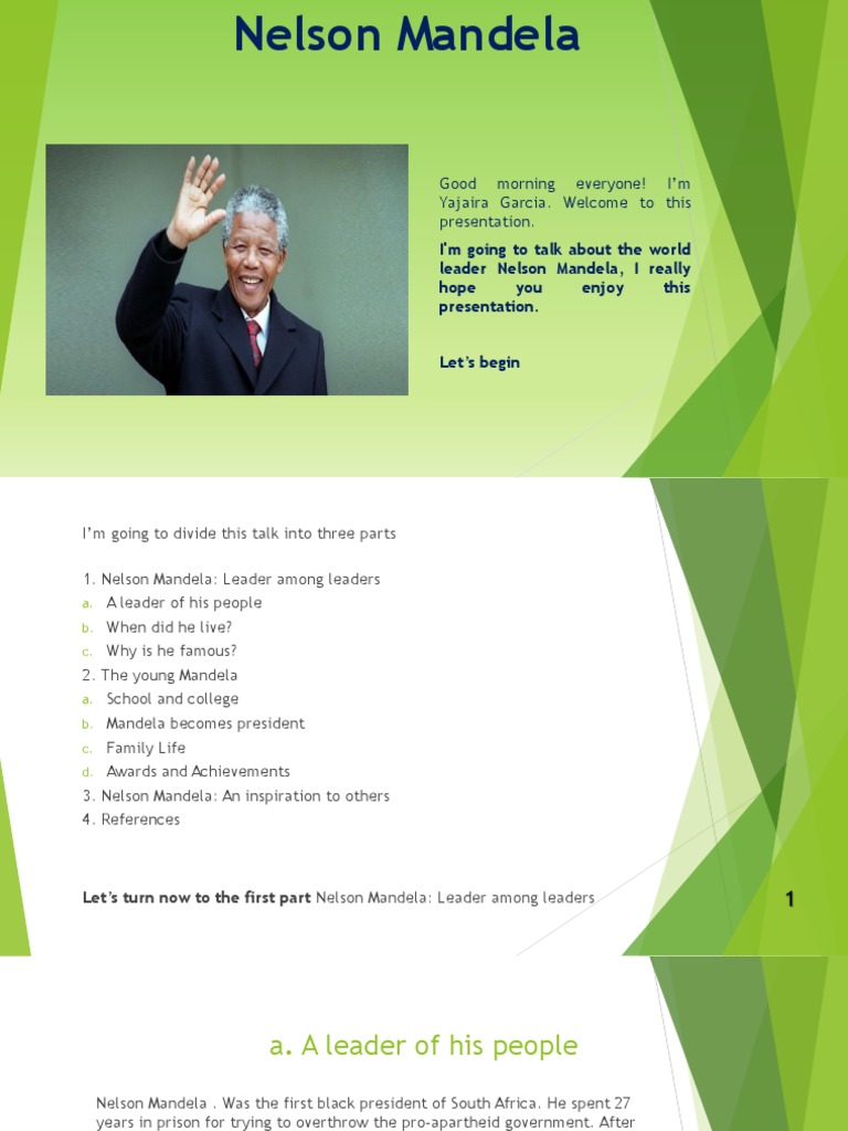 Nelson Mandela Evidence | PDF | Nelson Mandela | Politics And Race