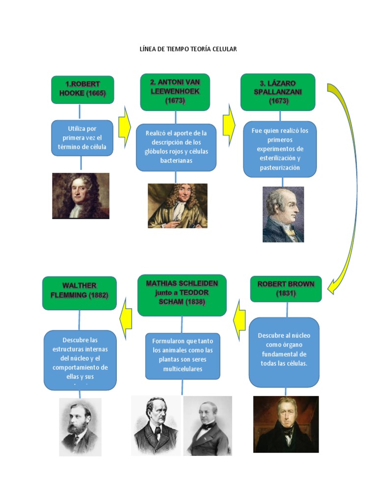 Línea de Tiempo Teoría Celular | PDF
