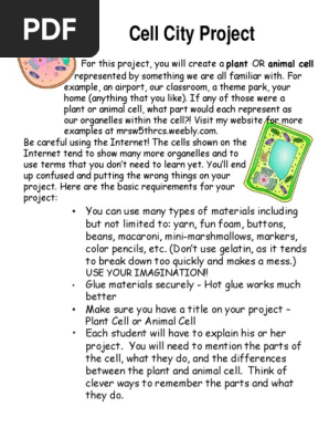 Plant Cell City Project Examples