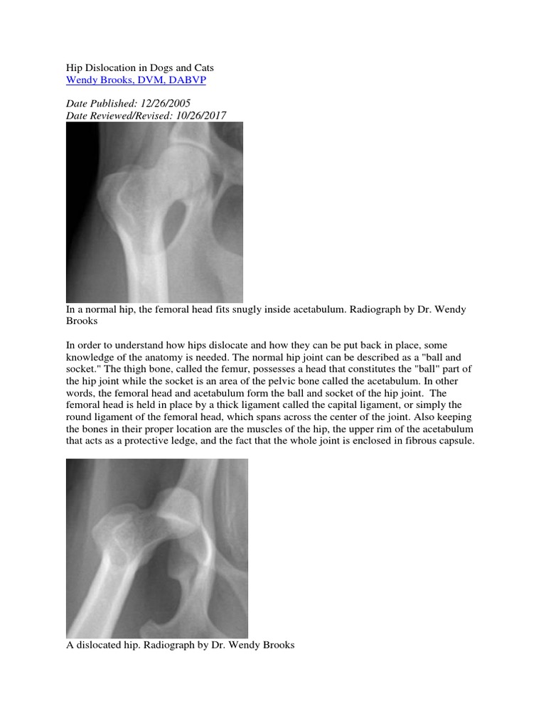Hip Dislocation in Dogs and Cats (Wendy Brooks, DVM) | PDF | Hip | Surgery