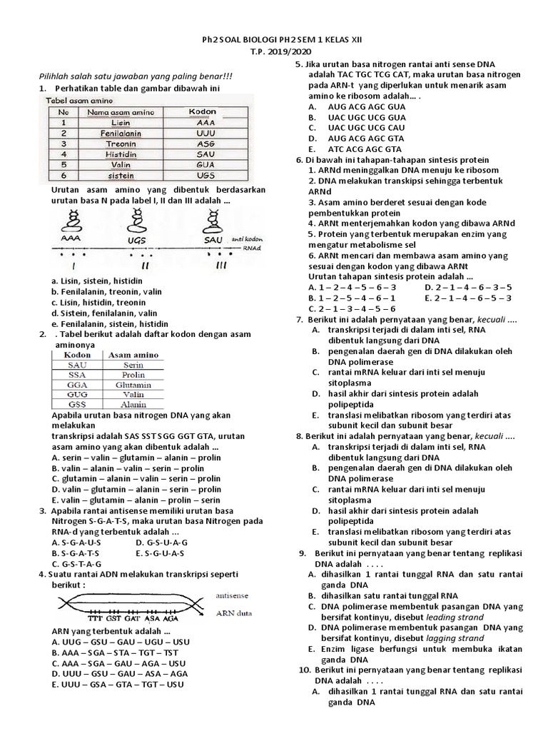 Soal PH2 Sem 1 Kls XII 2019 | PDF