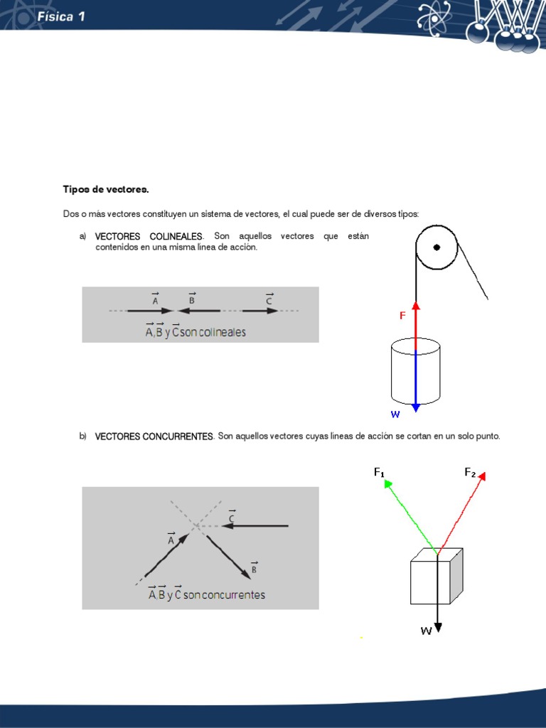 Tipos de Vectores | PDF