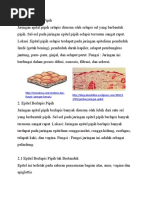 Autokrin Parakrin Dan Endokrin | PDF