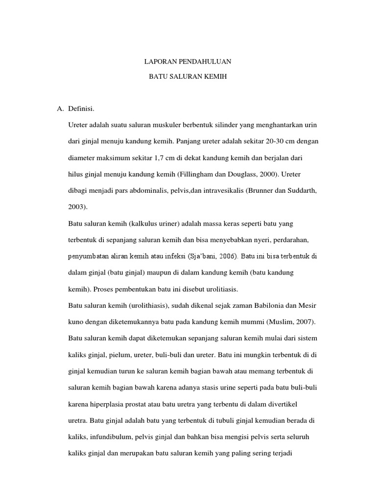 Laporan Pendahuluan BSK | PDF