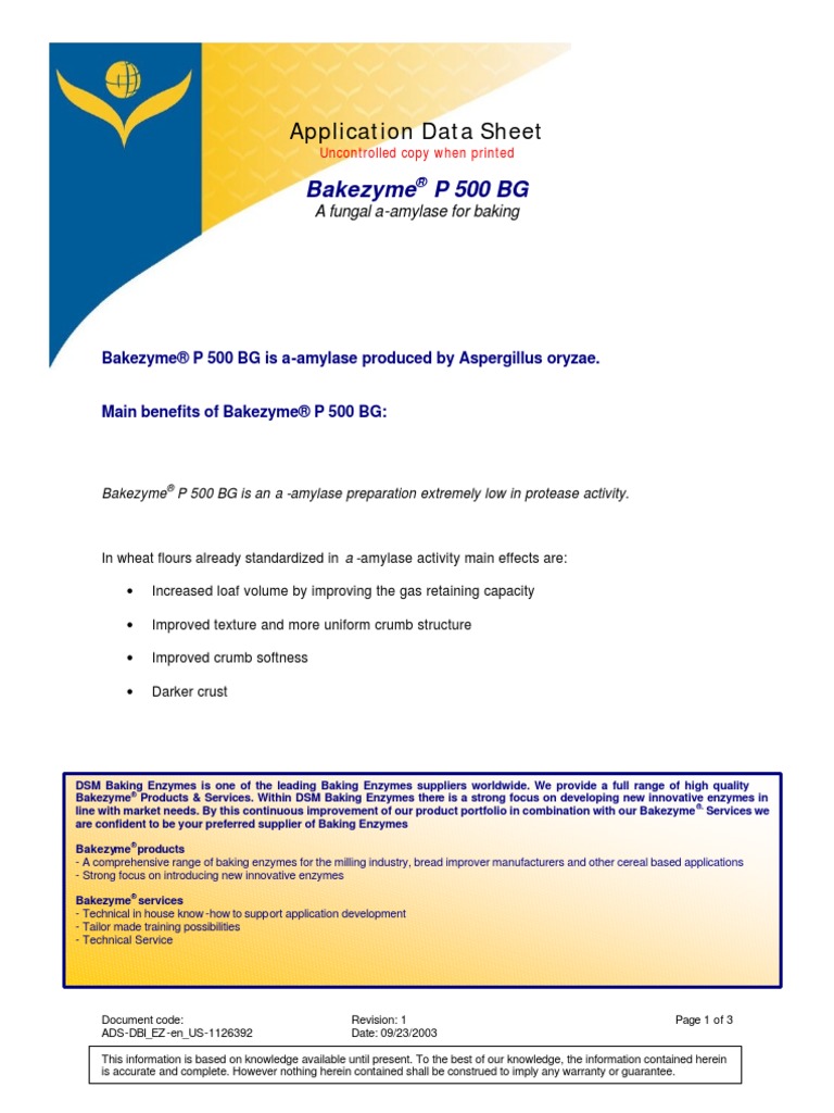 P500 | PDF | Breads | Dough